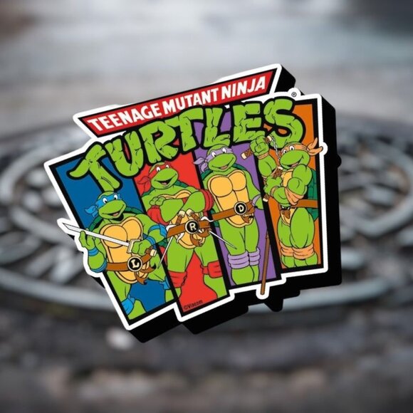 NMR Brands | Accents | Tmnt Teenage Mutant Ninja Turtles Cast Funky ...